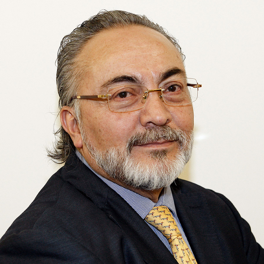 Miguel Angel Carlos Jaime - UDLAP Jenkins Graduate School